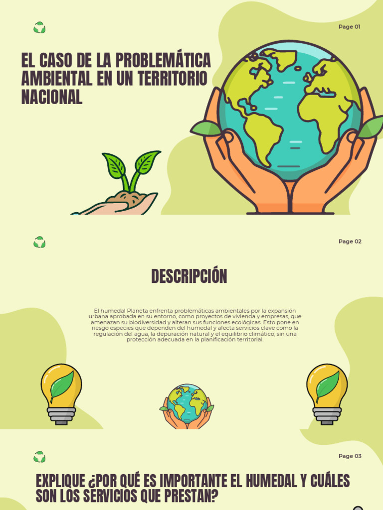Green Illustration Environmental Sustainability Presentation - 20250511 ...