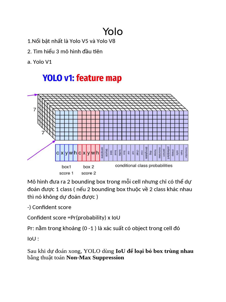 Yolo | PDF
