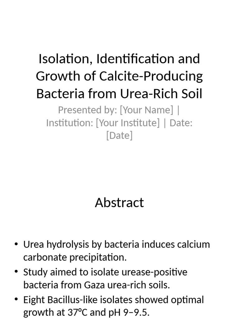 Calcite Bacteria Presentation | PDF