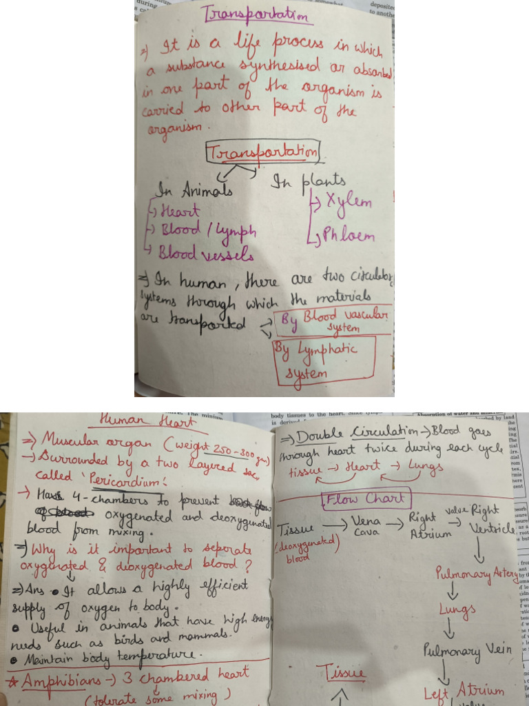 Notes Transportation | PDF