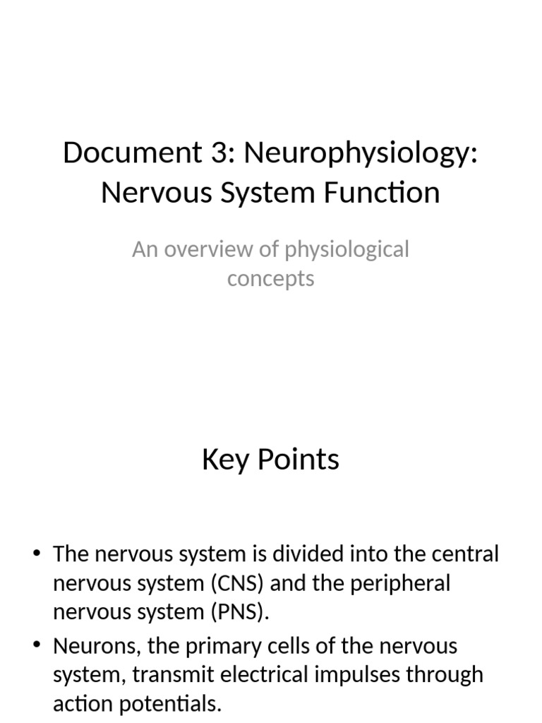Document 3 Neurophysiology Nervous System Function | PDF