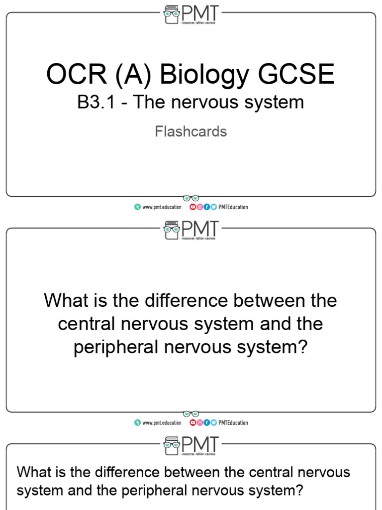 Flashcards - Topic 3.1 the Nervous System - OCR (a) Biology GCSE | PDF ...