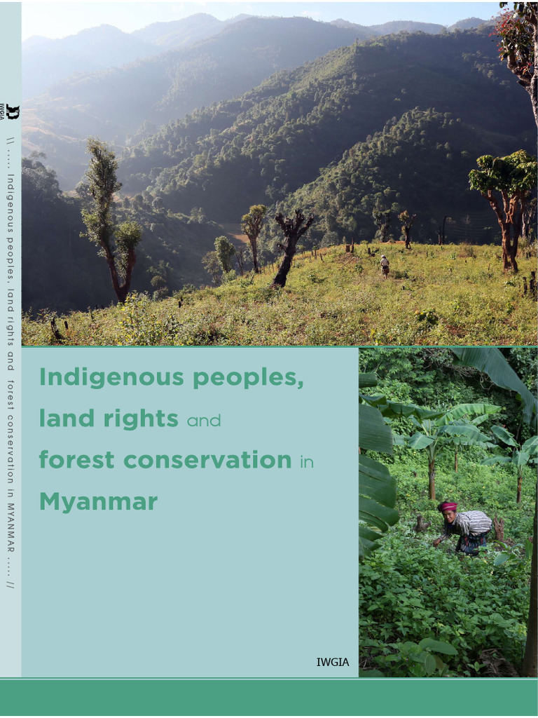 Indigenous peoples, land rights and forest conservation in Myanmarm ...