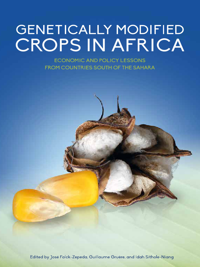 Genetically Modified Crops in Africa | PDF | Genetically Modified Crops | Biotechnology
