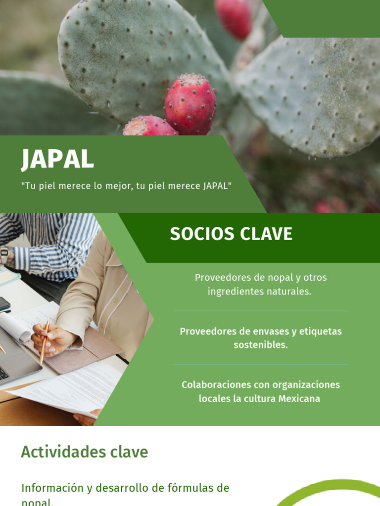 Japal PDF | PDF