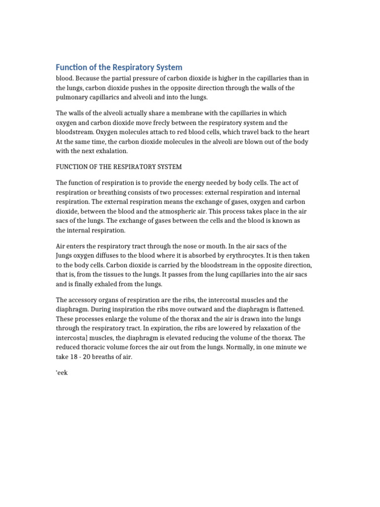 Function of The Respiratory System | PDF