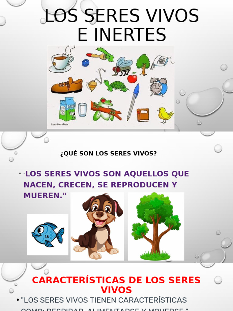 Los Seres Vivos e Inertes | PDF