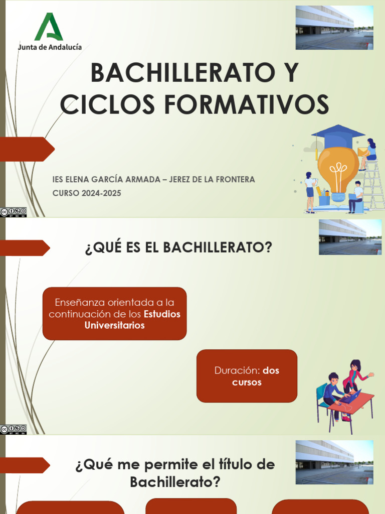 Itinerarios y optativas 4º ESO Andalucía | PDF