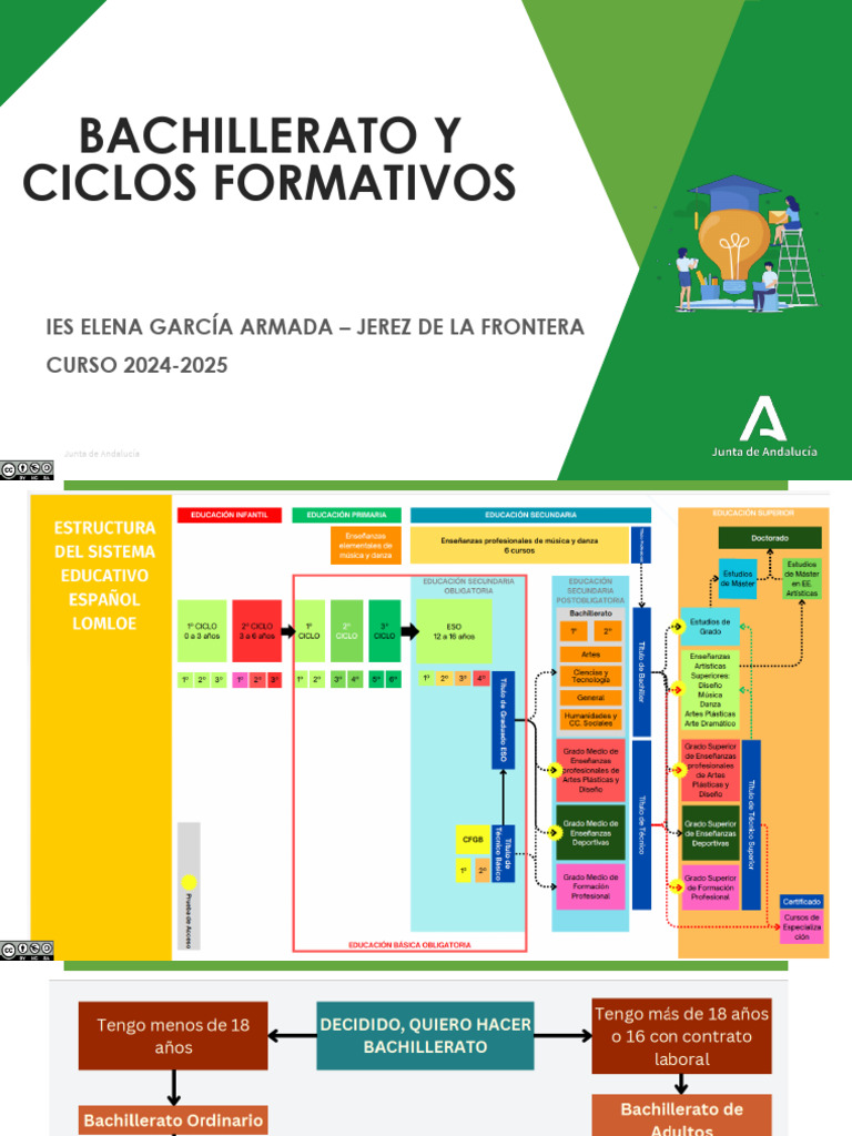 Itinerarios y modalidades de Bachillerato en Andalucía | PDF
