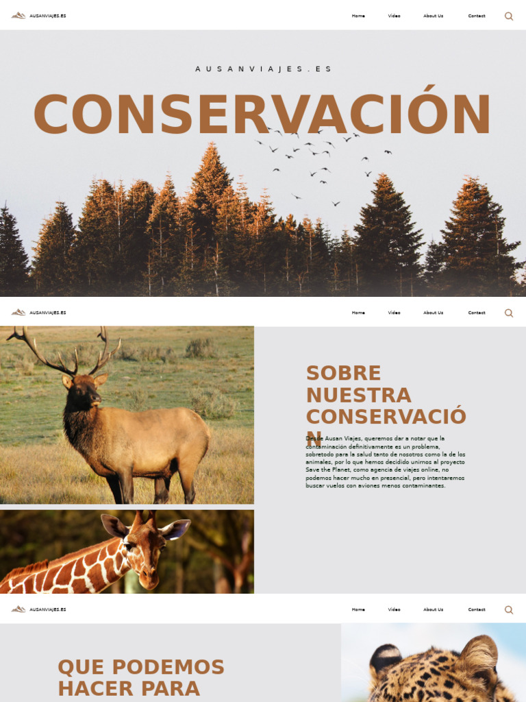 Forest Restoration | PDF