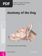 Sea Turtle Digestive System Anatomy | PDF | Gastrointestinal Tract ...