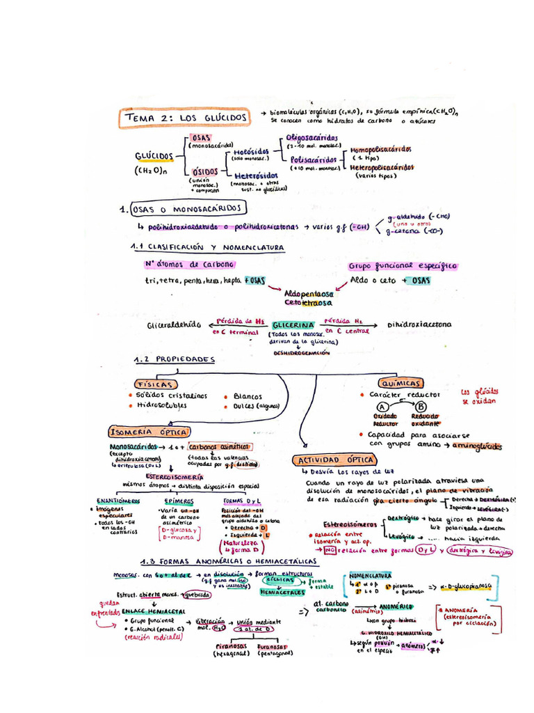 Wuolah Free TEMA 2. Glucidos (1) Removed | PDF