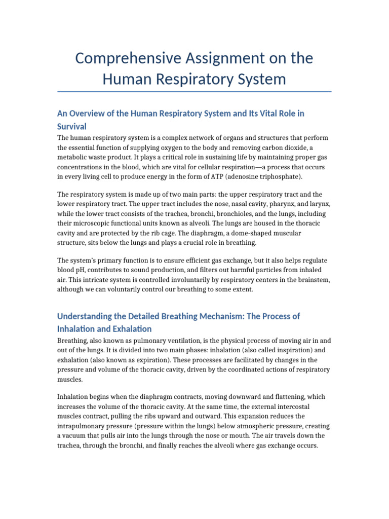 Respiratory System Assignment | PDF | Respiratory System | Lung