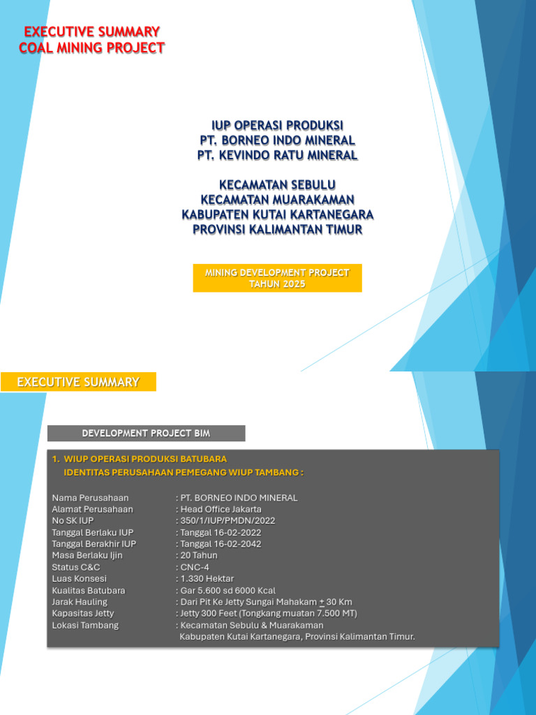 Sumary Iup Borneo Dan Kevindo | PDF