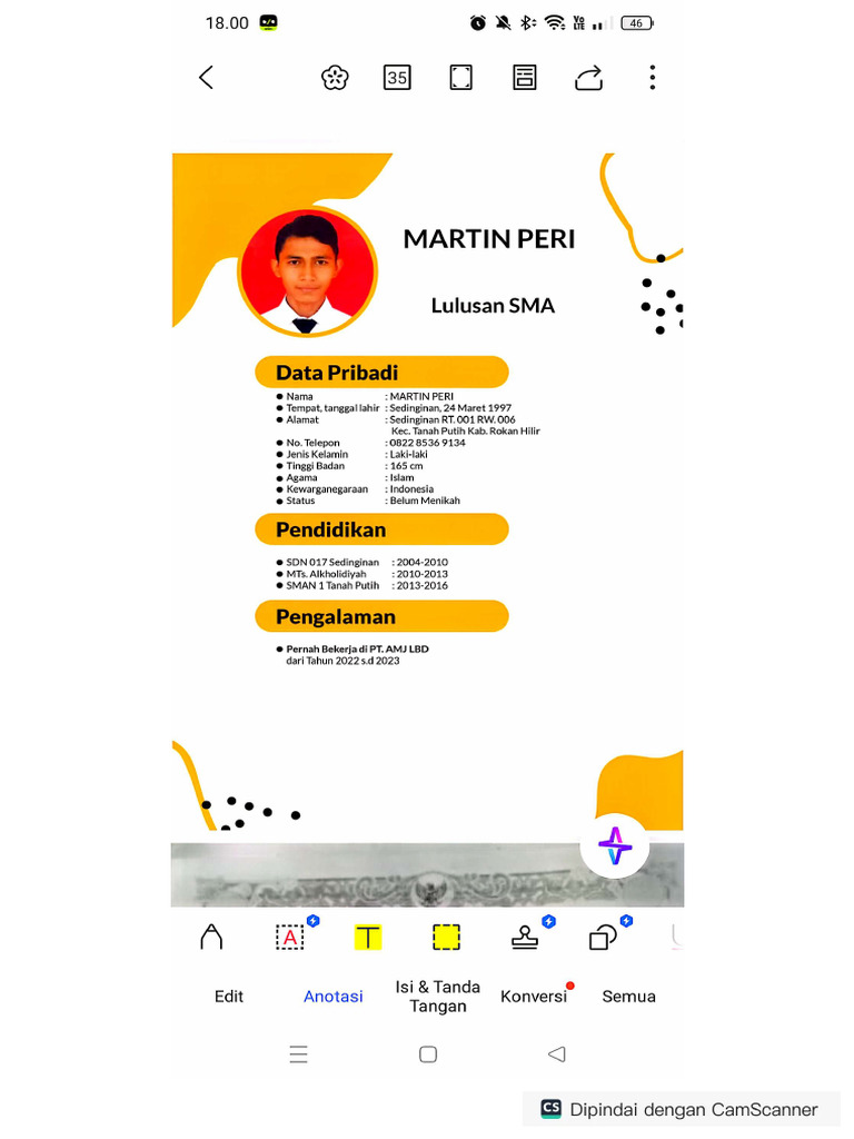 Backup - CV Martin Peri | PDF