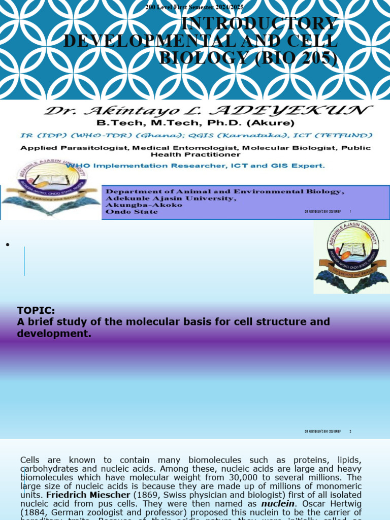 Introductory Developmental and Cell Biology (BIO 205, DR Adeyekun ...