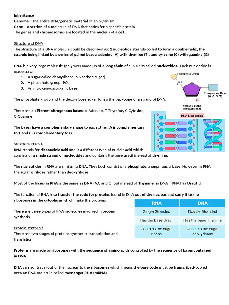 Biology Inheritance Biology | PDF | Rna | Translation (Biology)