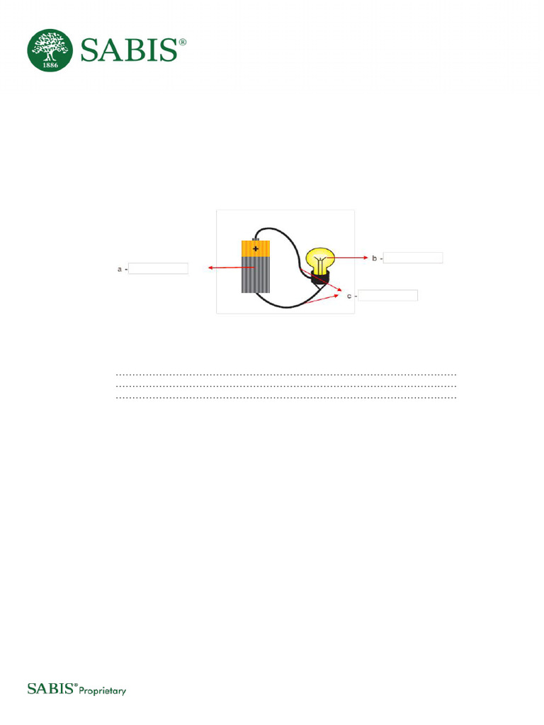 2223-Term 3 Grade 9 Level K Science Revision | PDF | Digestion | Atomic ...