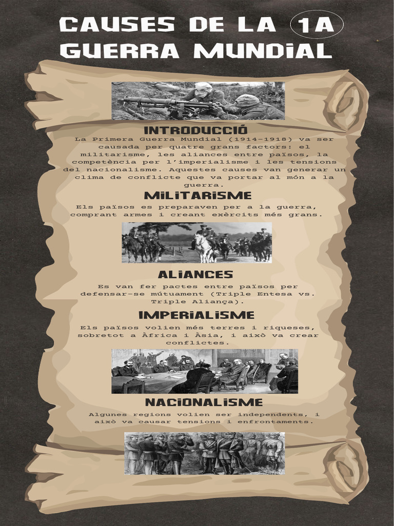 4 Causes de La Primera Guerra Mundial | PDF