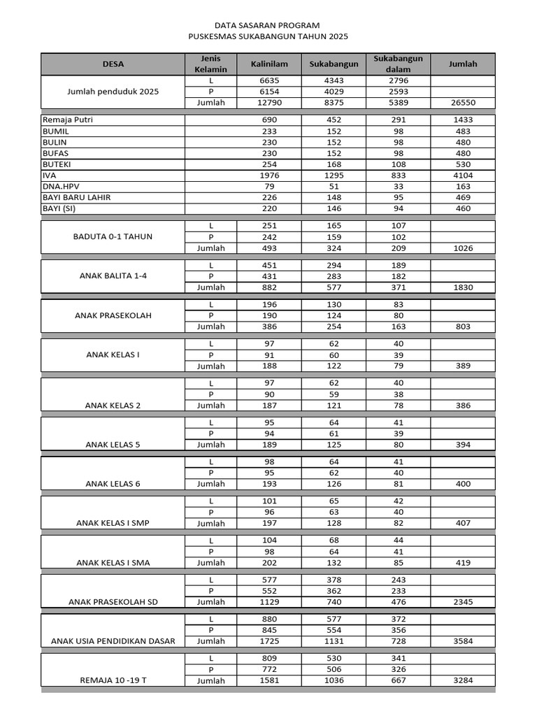Sasaran Program 2025 | PDF