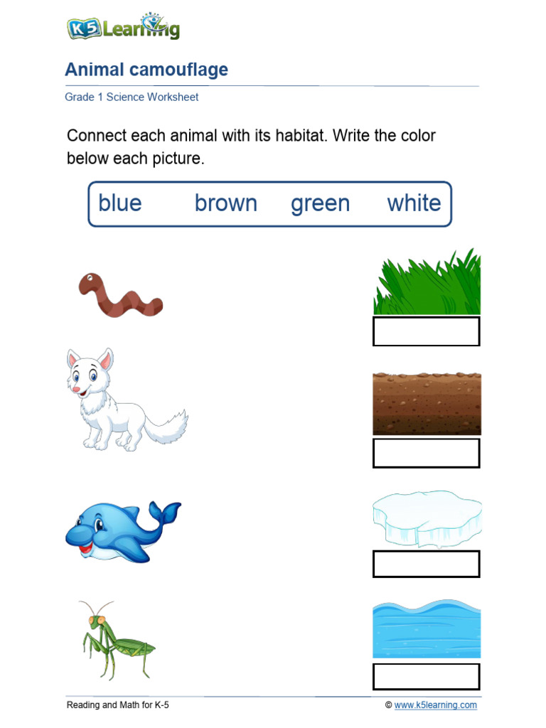 Grade 1 Animal Camouflage A | PDF