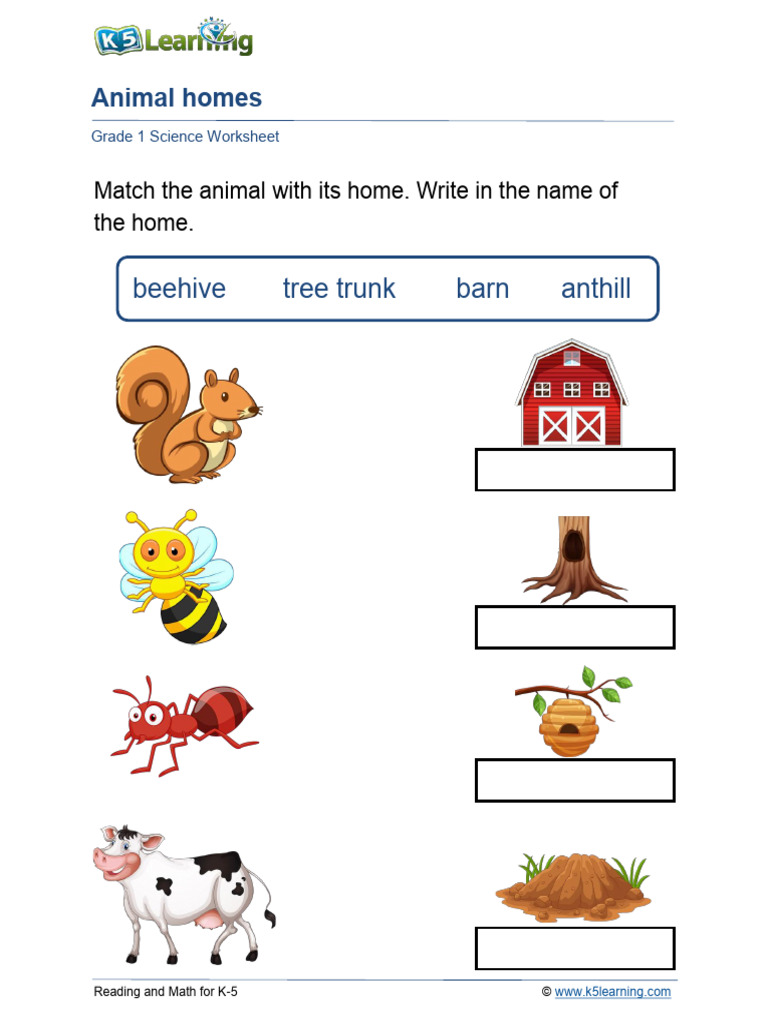 Grade 1 Animal Homes B | PDF