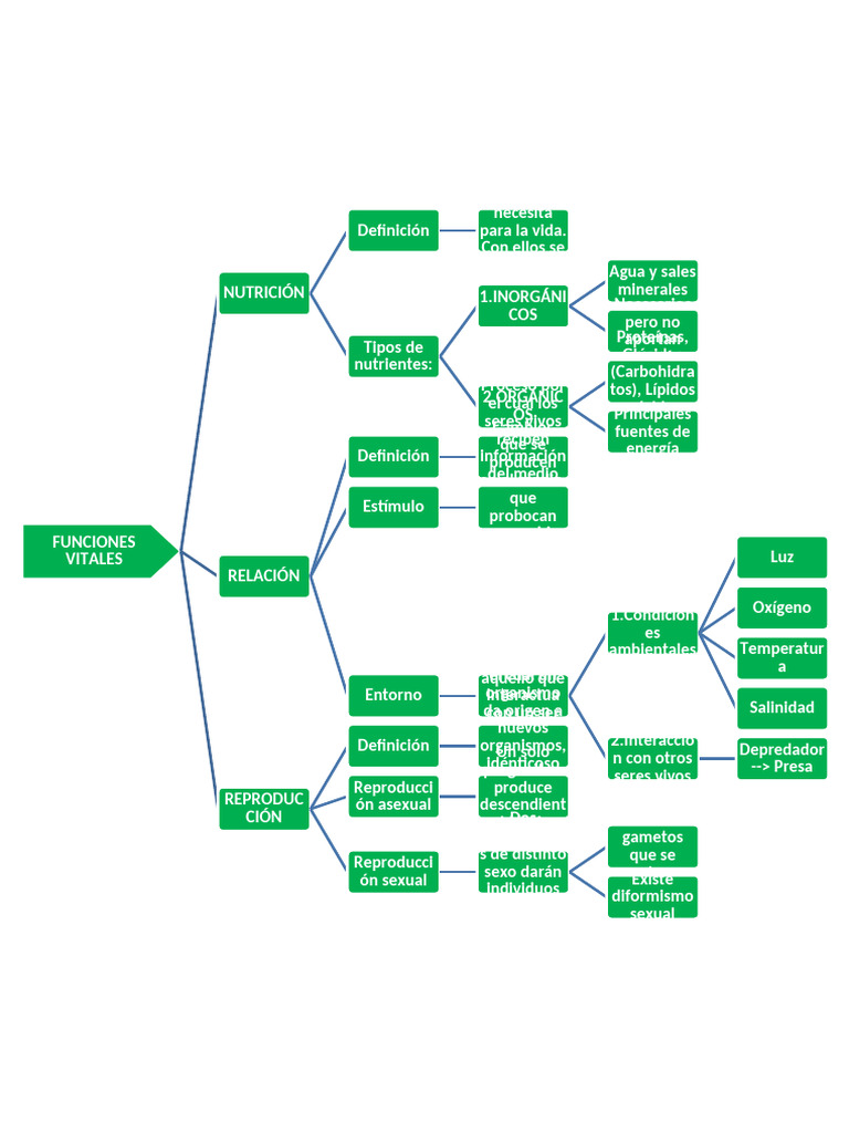 Esquema Biologia | PDF | Organismos | Nutrientes