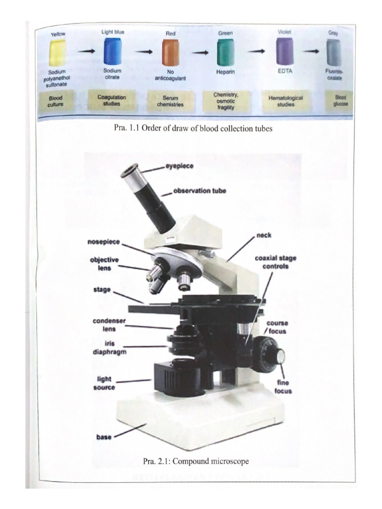 Patho instruments MBBS 2nd year | PDF
