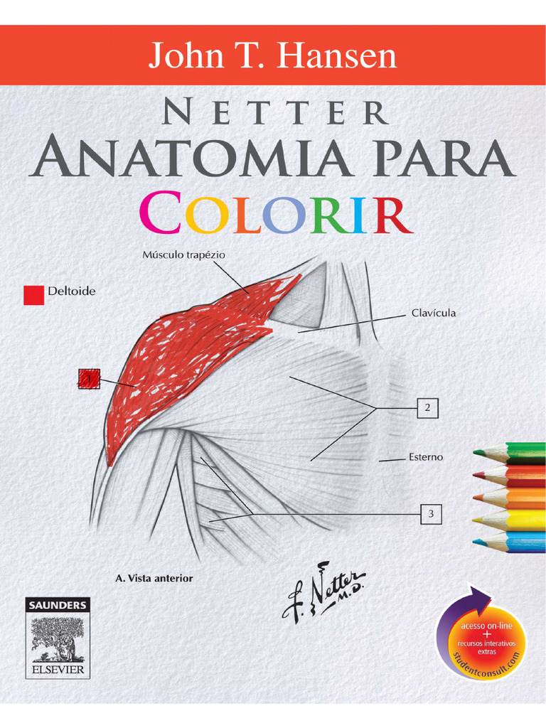 Atlas de Anatomia para Colorir - Netter - 1 Edição | PDF