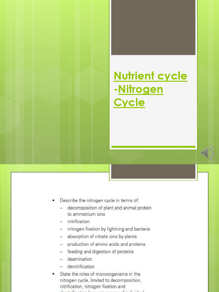 Understanding the Nitrogen Cycle | PDF | Nitrate | Nitrogen