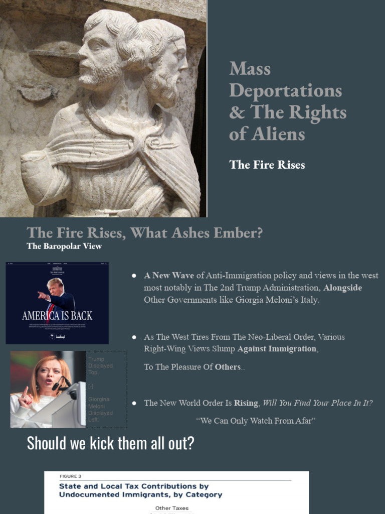 Mass Deportations &the Rights of Aliens | PDF | Immigration | Illegal Immigration