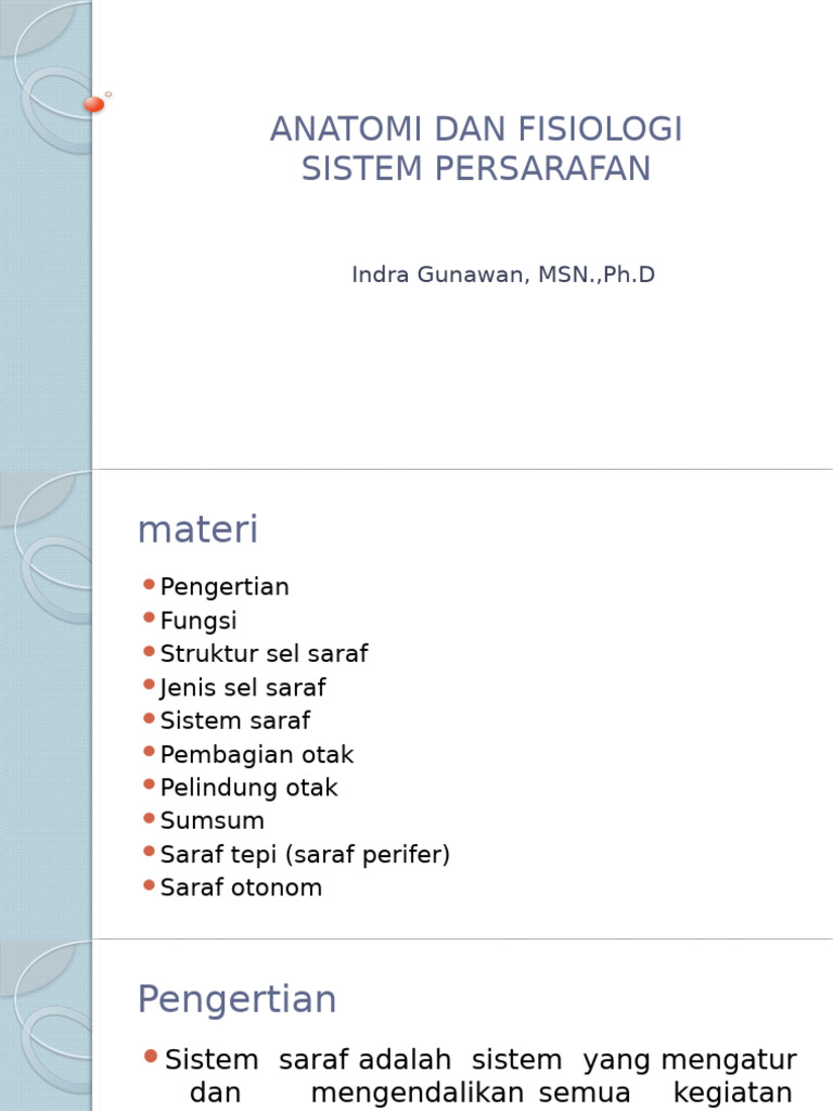 Anatomi dan Fisiologi Sistem Saraf | PDF