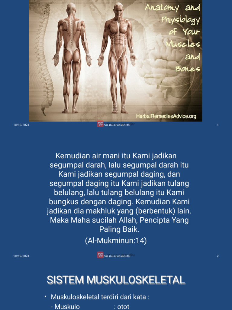 Sistem Muskuloskeletal: Struktur dan Fungsi | PDF
