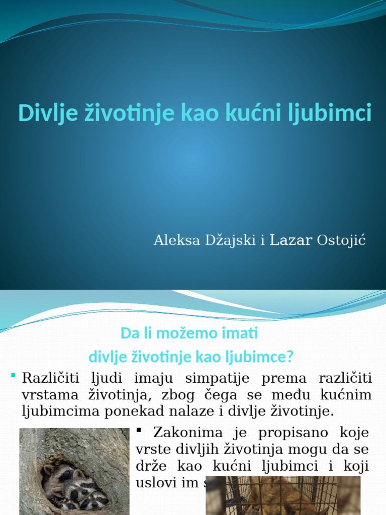 Prezentacija Divlje Zivotinje | PDF