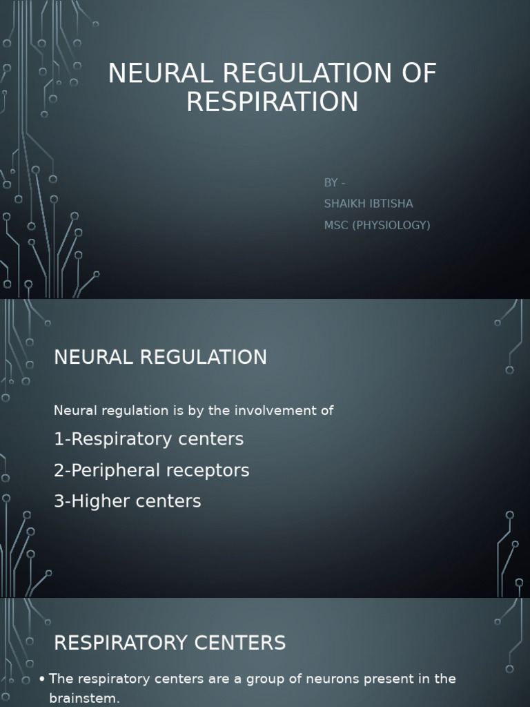Neural Regulation of Respiration | PDF | Neuroscience | Nervous System