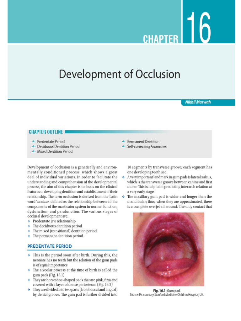 Development of Occlusion-Textbook of Pediatric Dentistry, Nikhil Marwah ...