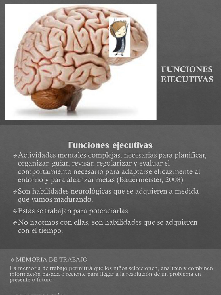 Funciones Ejecutivas | PDF