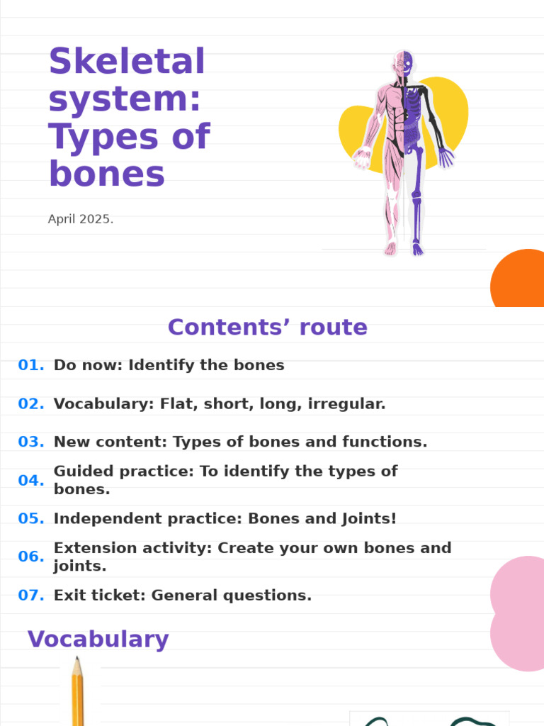 UTF-8Lesson 6 Types of Bones | PDF | Bone | Hip