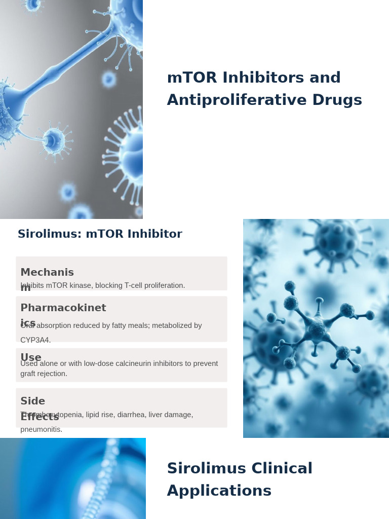 MTOR Inhibitors and Antiproliferative Drugs | PDF | Medical Specialties ...