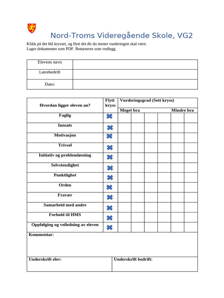 Skjema For Vurdering YFF | PDF