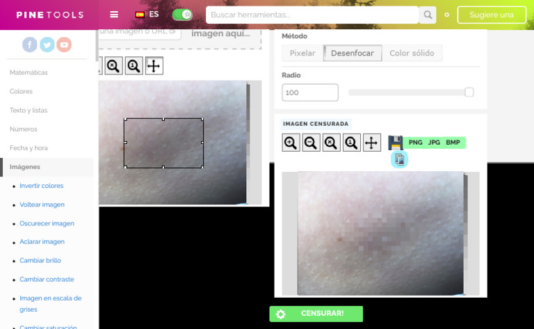 Censurar Imagen (Desenfocar, Pixelar) Online | PDF