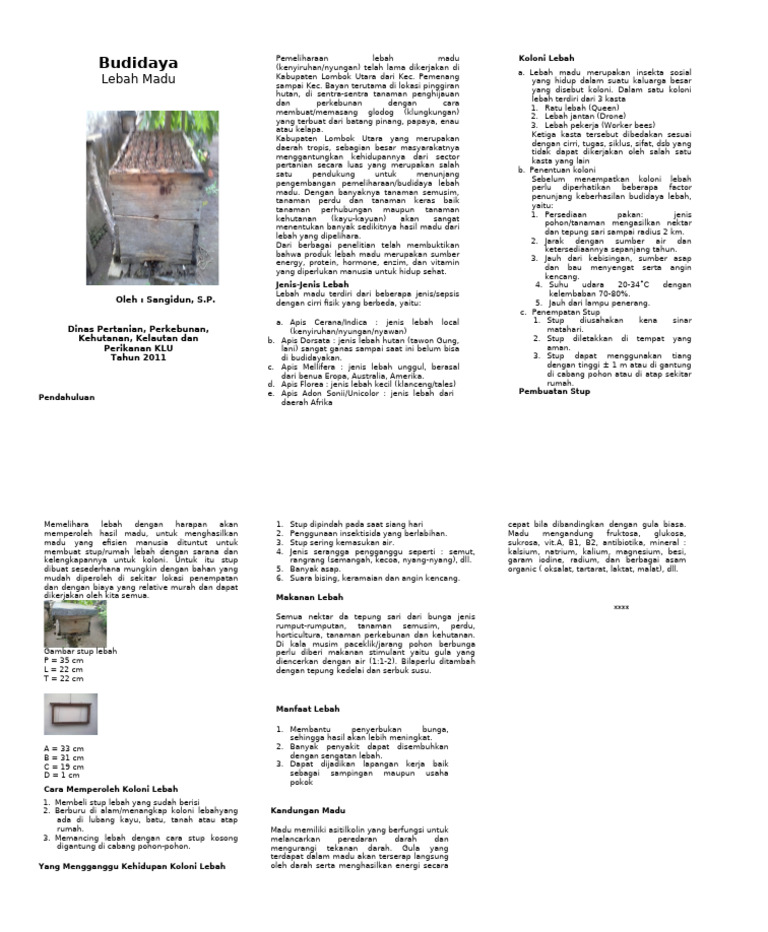 Budidaya Lebah Madu | PDF
