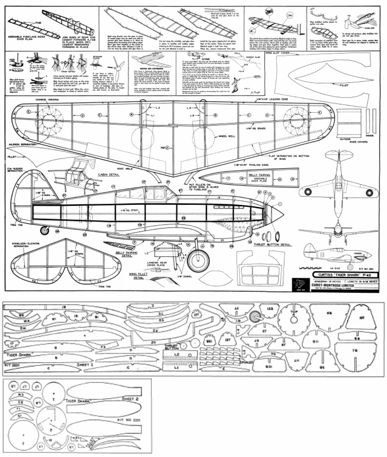 P-40 Tiger Shark | PDF