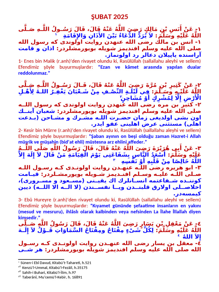 2025 Şubat Ayı Hadisi Şerifler HK | PDF