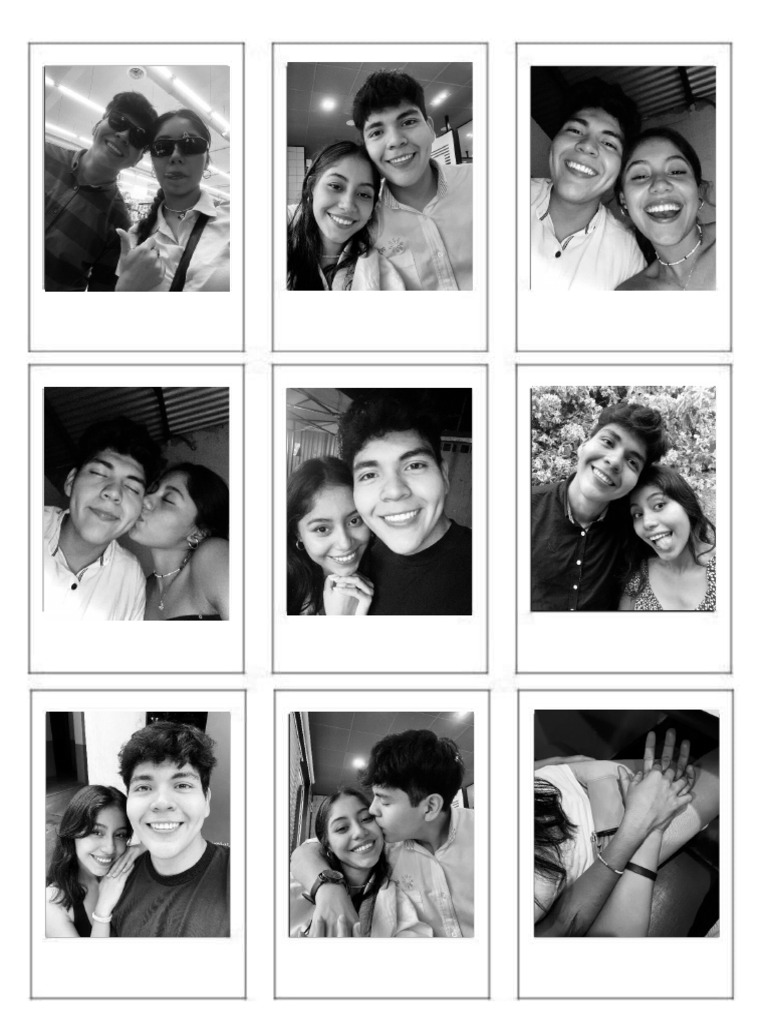 Polaroid | PDF