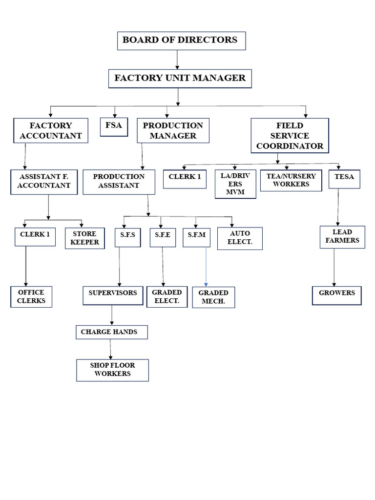 Organisational Structure | PDF