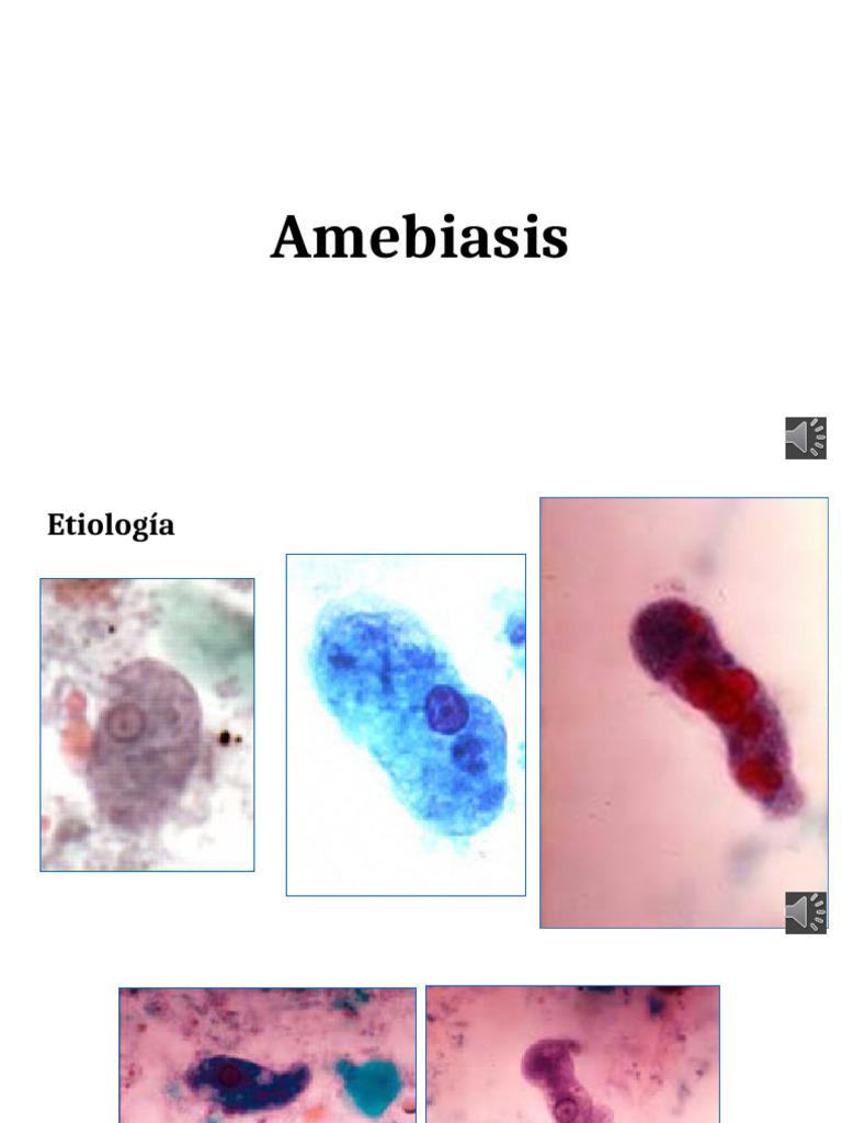 Amebiasis | PDF | Especialidades Medicas | Inmunología