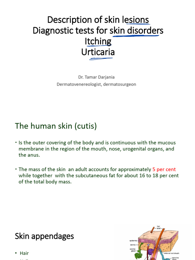 Description of Skin Lesions, Diagnostic Tests, Itching, Urticaria | PDF ...