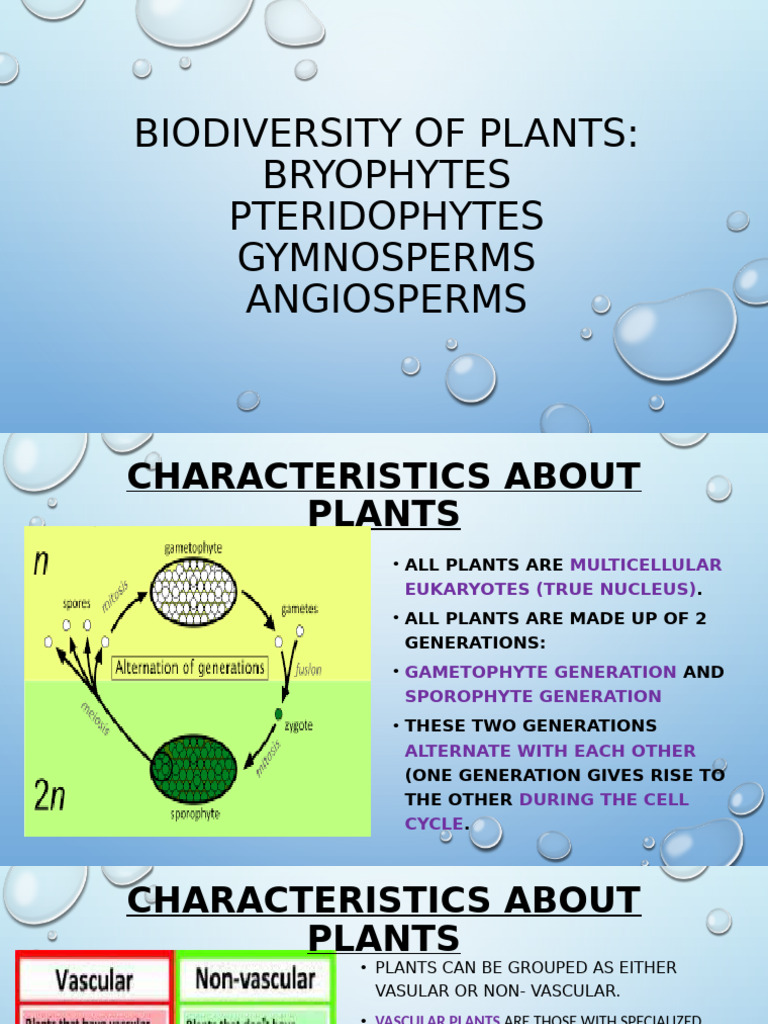 5 Biodiversity in plants | PDF | Leaf | Sexual Reproduction