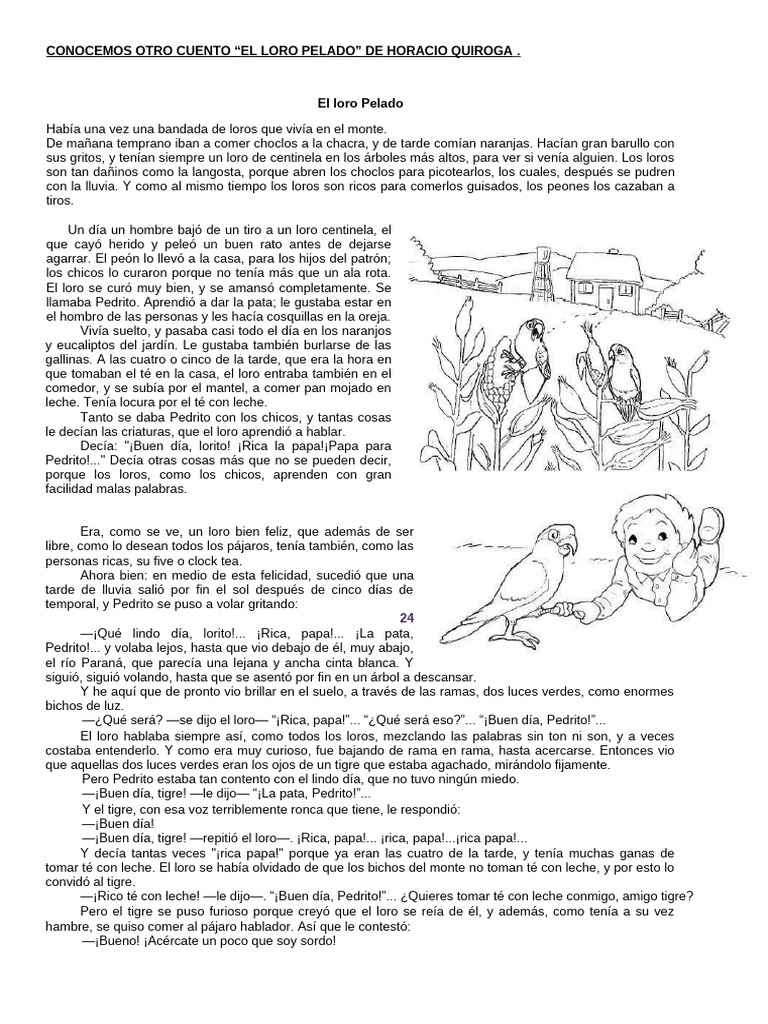 Secuencia El Loro Pelado | PDF | Género gramatical | Adjetivo